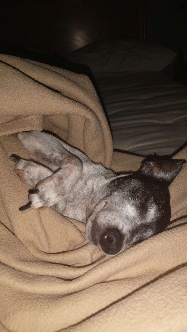 My Top 100 Favorite Albums Ever - Rate Your Music