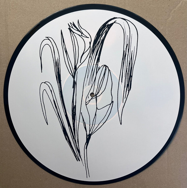 Adia Vanheerentals Albums: songs, discography, biography, and listening ...