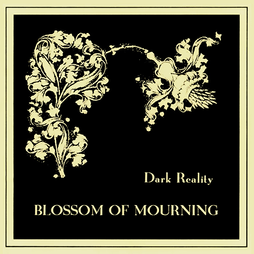 Dark Reality Albums: songs, discography, biography, and listening guide ...