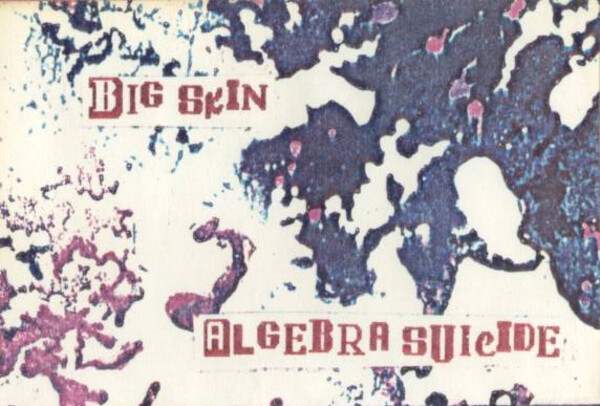 Big Skin by Algebra Suicide (Album, Minimal Wave): Reviews, Ratings ...