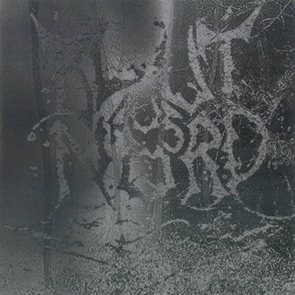 The Work Which Transforms God by Blut aus Nord (Album, Black Metal ...