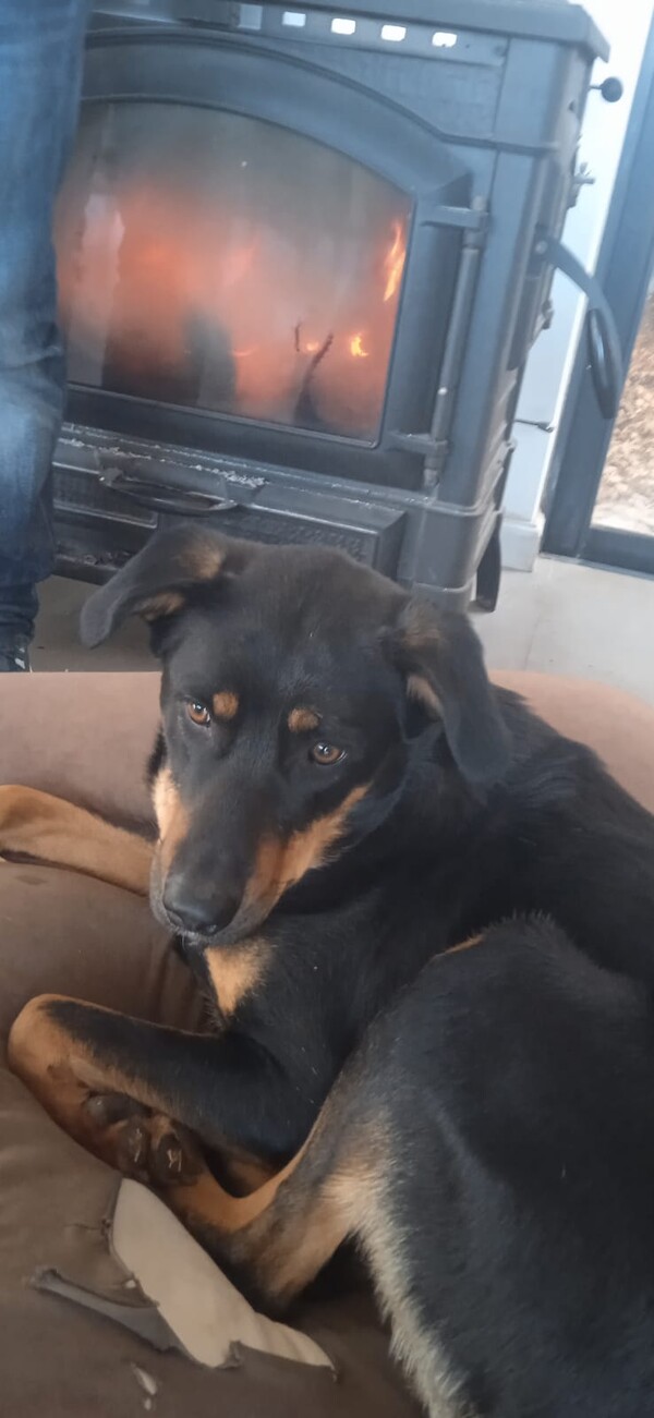 checking every alt genre - Rate Your Music