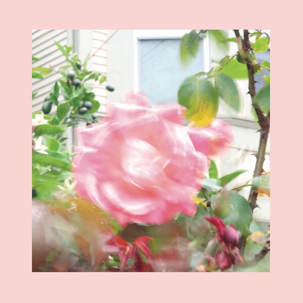 The Reds, Pinks and Purples Albums: songs, discography, biography, and ...