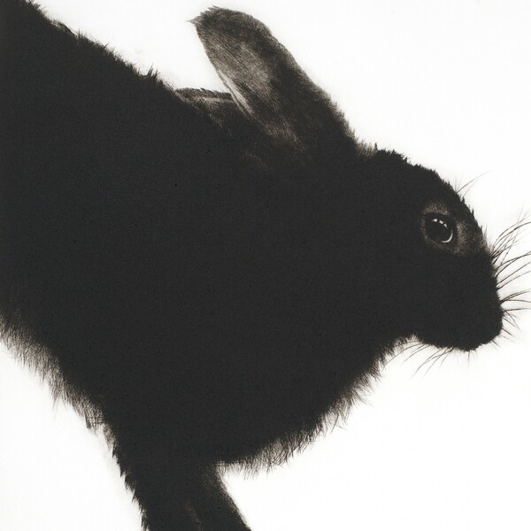 Without Hope I Am Nothing by Panik Deluxe (Album, Synthpop): Reviews ...