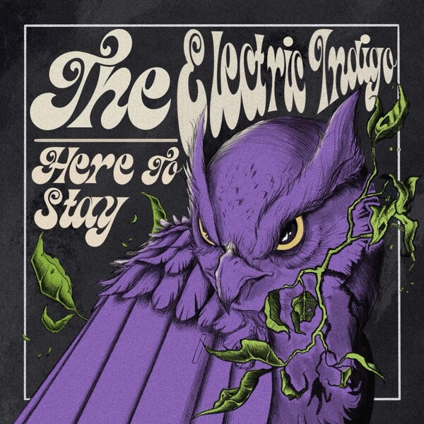Here to Stay by The Electric Indigo (Album): Reviews, Ratings, Credits ...