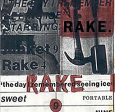 The Day I Remembered Seeing Ice by Rake. (Album, Experimental Rock ...