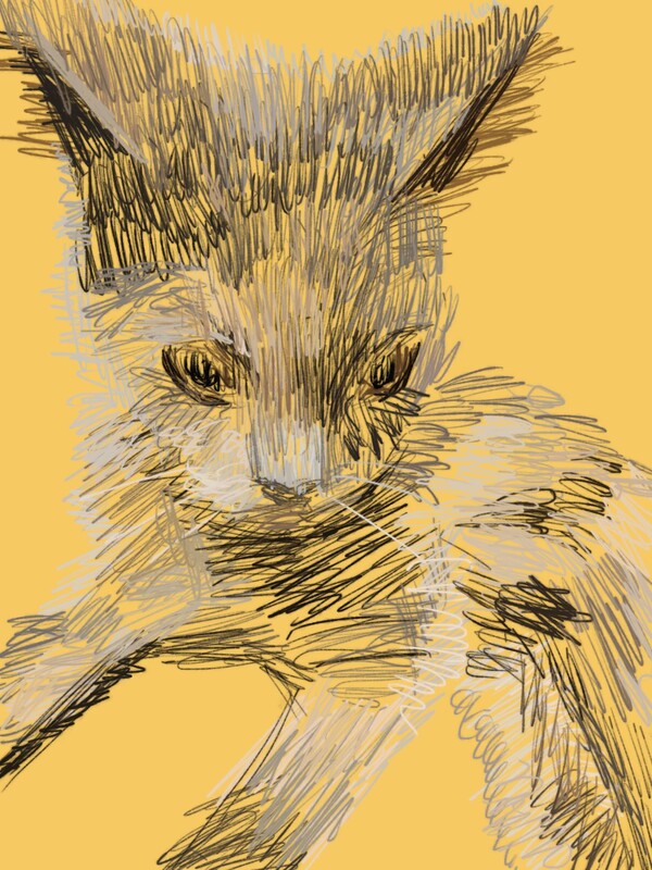 Kati and Deyah: Albums We've Listened To Together - Rate Your Music