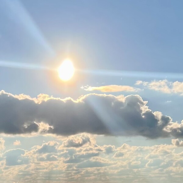 a new wish - Rate Your Music