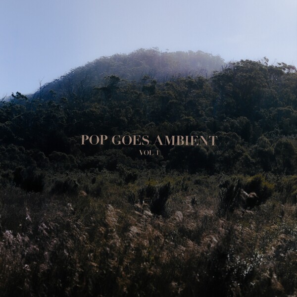 Volume 1 by Pop Goes Ambient (Album): Reviews, Ratings, Credits, Song ...