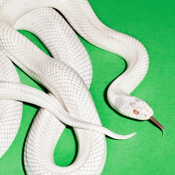 My Mind Is a Mountain by Deftones (Single, Alternative Metal): Reviews ...