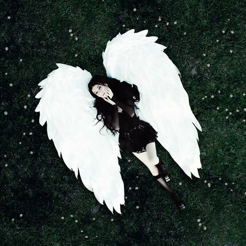 Siren (Sped Up) by Ashley Sienna (Single): Reviews, Ratings, Credits ...