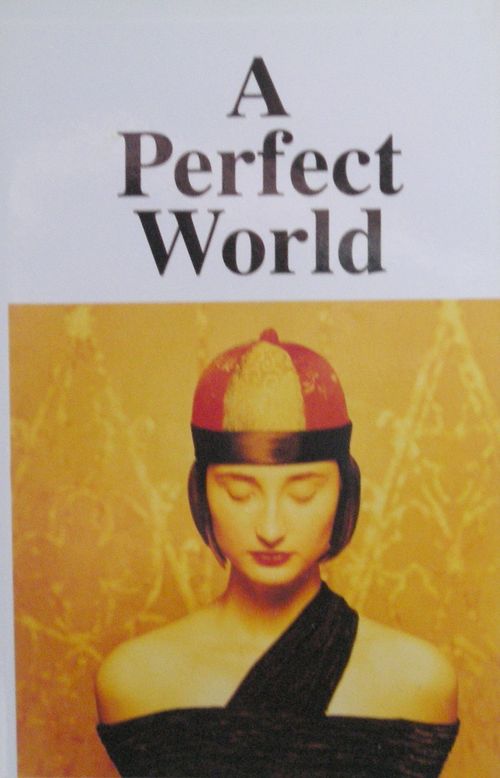 A Perfect World by A Perfect World (Album): Reviews, Ratings, Credits ...