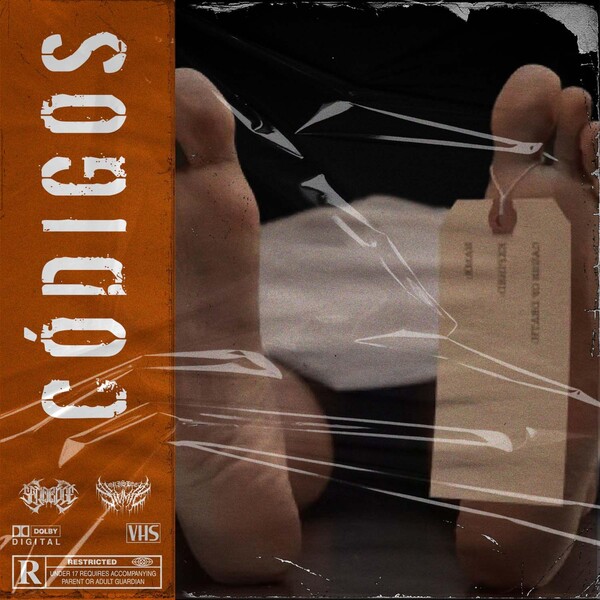 Gris Lee Kuma Albums: songs, discography, biography, and listening ...