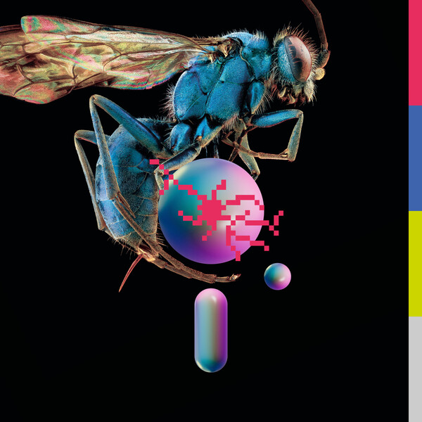 Hive by Teeth of the Sea (Album, Progressive Electronic): Reviews ...