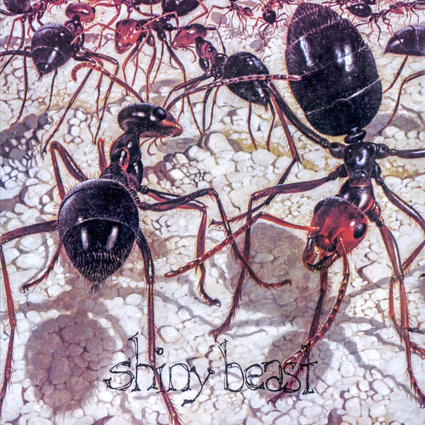 Shiny Beast Albums: songs, discography, biography, and listening guide ...