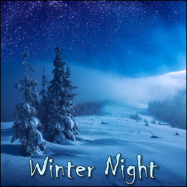 Winter Night by Derek & Brandon Fiechter (EP, Neoclassical Darkwave ...
