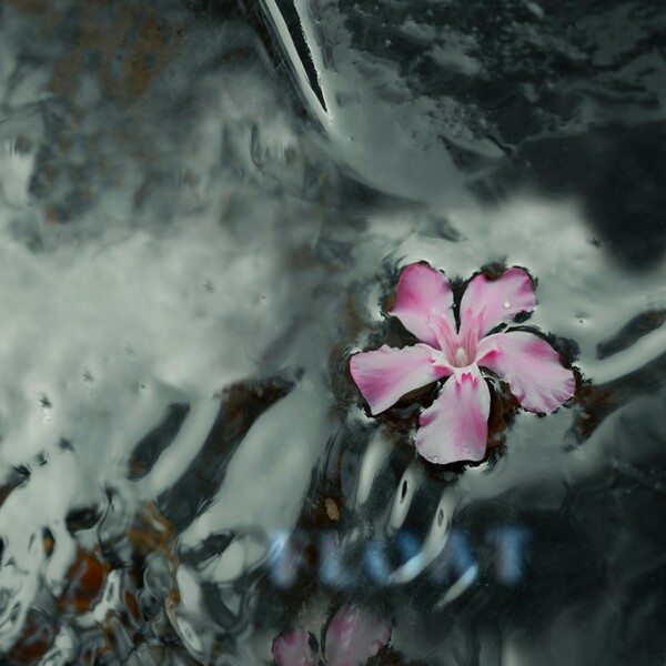 Float by Illusion of Safety (Album, Field Recordings): Reviews, Ratings ...