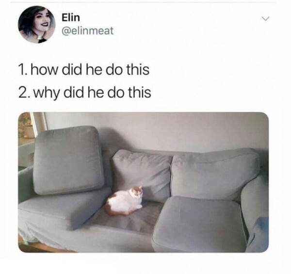 holy fricking bingle (New Releases I Heard in 2026) - Rate Your Music