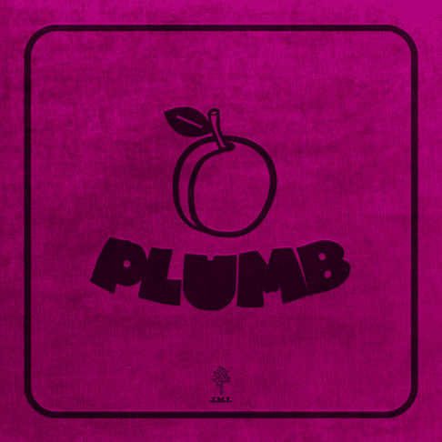 Plumb by David Murray, Questlove, Ray Angry (Album, Jazz Fusion ...