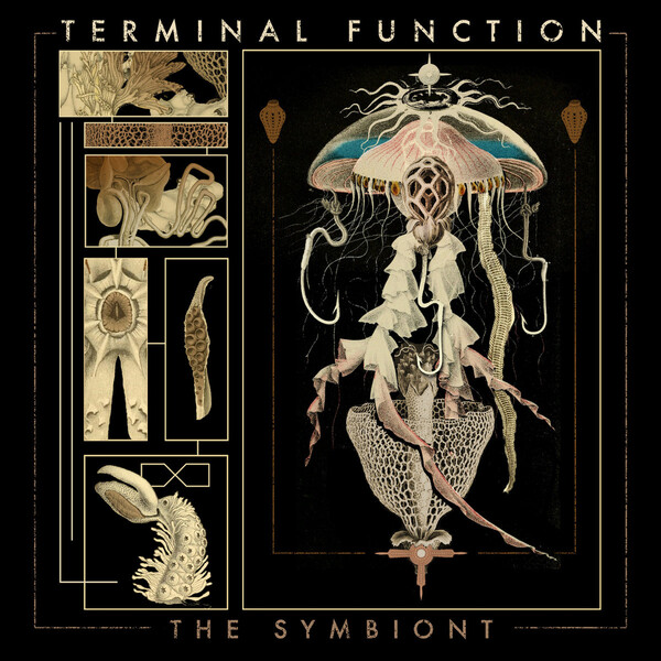 The Symbiont by Terminal Function (Album, Technical Death Metal): Reviews, Ratings, Credits ...