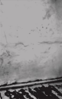 Disgust Albums: songs, discography, biography, and listening guide ...