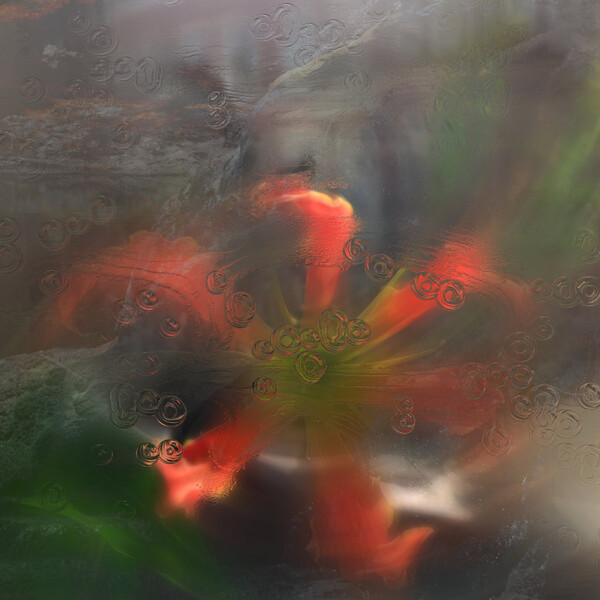 Germ in a Population of Buildings by upsammy (Album, IDM): Reviews ...