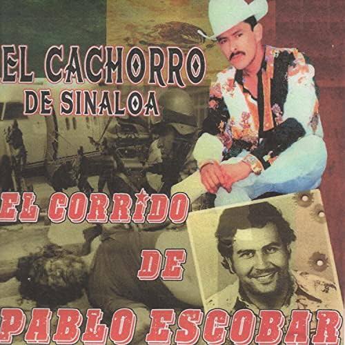 El corrido de Pablo Escobar by El Cachorro de Sinaloa (Album, Banda ...