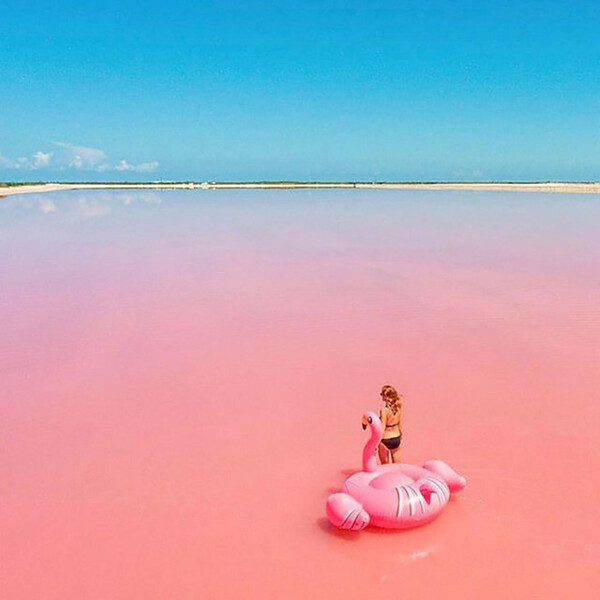 A Beautiful Memory by Geese (Album, Post-Punk Revival): Reviews ...