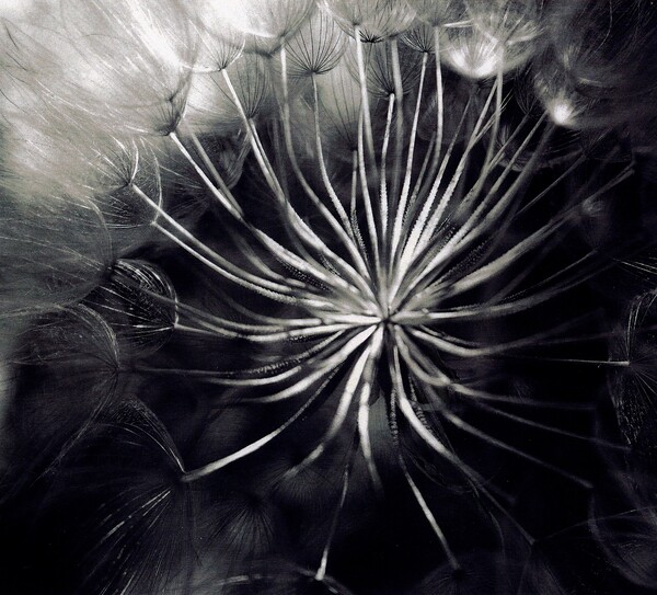 Pneuma by Diespnea (Album, Atmospheric Black Metal): Reviews, Ratings ...