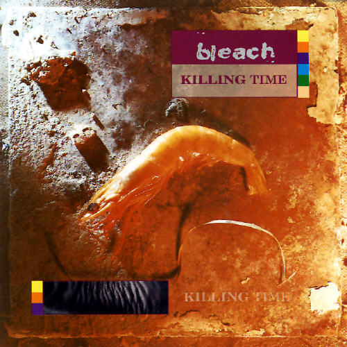 Bleach Albums: songs, discography, biography, and listening guide ...