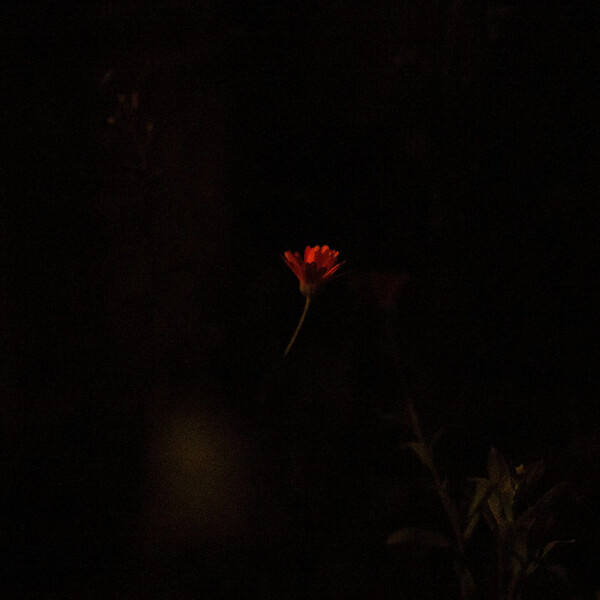 Live at Jazzstate, 04/12/2019 by Albert Karch & Ichiko Aoba (Album ...