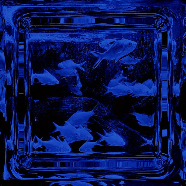 Fish? Fish. by Signal Receiver (Album): Reviews, Ratings, Credits, Song ...