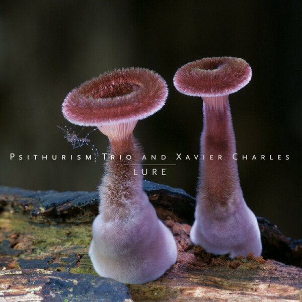 Lure by Psithurism Trio & Xavier Charles (Album): Reviews, Ratings ...