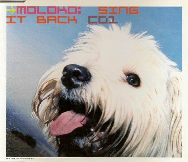 Sing It Back by Moloko (Single, Funky House): Reviews, Ratings, Credits ...