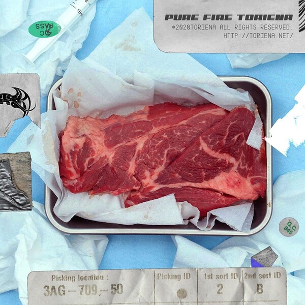 PURE FIRE by TORIENA (Album, Hardcore [EDM]): Reviews, Ratings, Credits ...