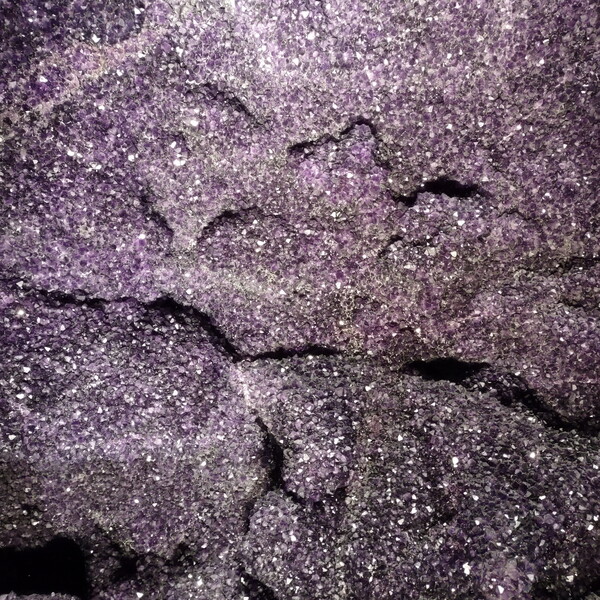 Mean Times by Denman Maroney (Album; Cuneiform): Reviews, Ratings ...