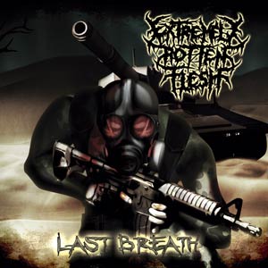 Extremely Rotten Flesh Albums: songs, discography, biography, and ...