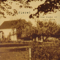 The Ruins of This Life by Fiesel (Album, Post-Hardcore): Reviews ...