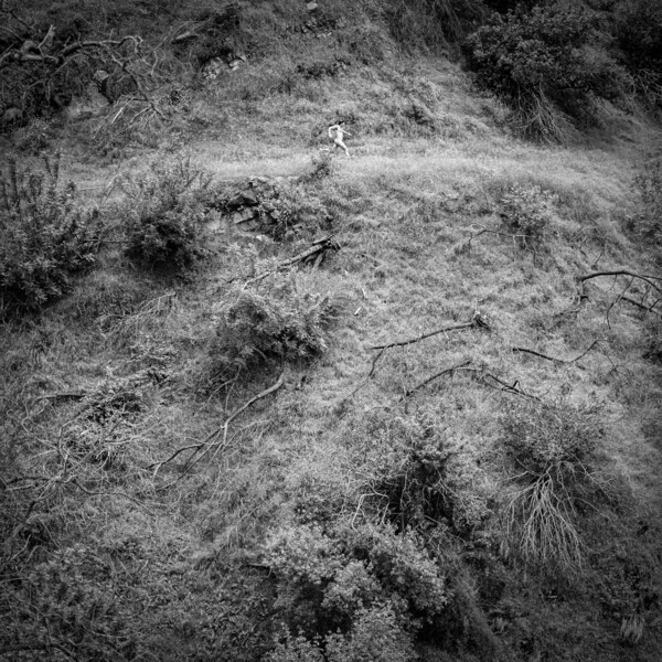 Animal Poem by Anna Tivel (Album): Reviews, Ratings, Credits, Song list ...