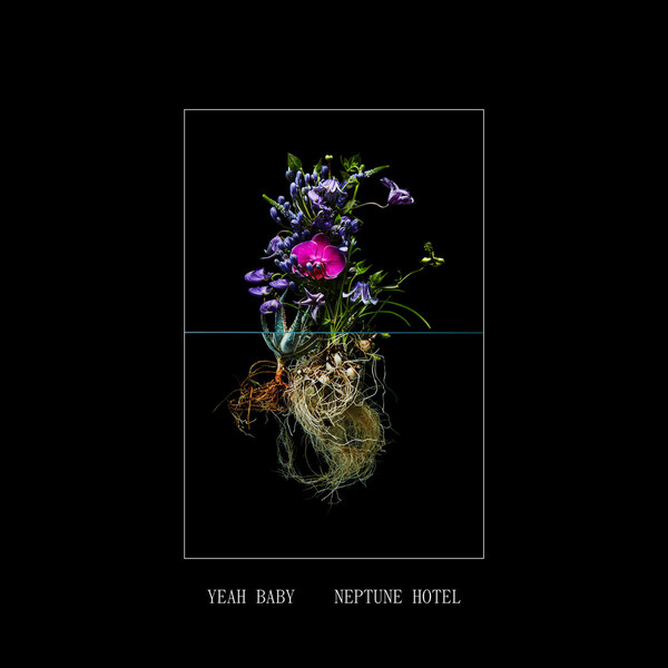 Yeah Baby Albums: songs, discography, biography, and listening guide ...