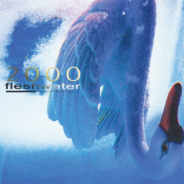 2000: In Search of the Endless Sky by Fleshwater (Album): Reviews ...