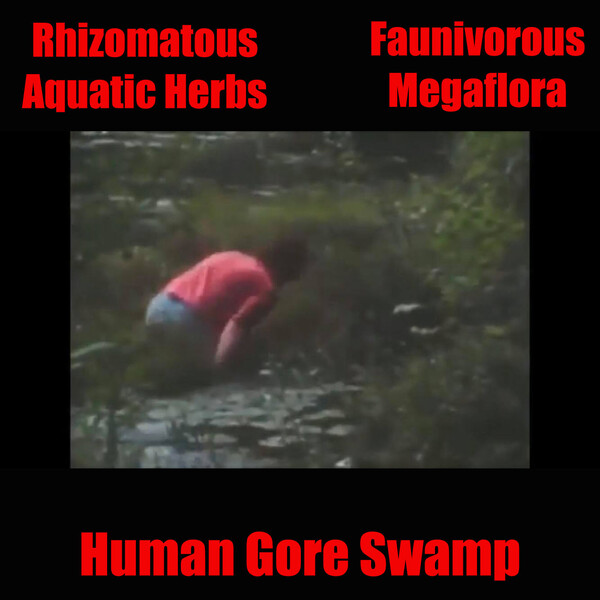 Human Gore Swamp by Rhizomatous Aquatic Herbs / Faunivorous Megaflora ...