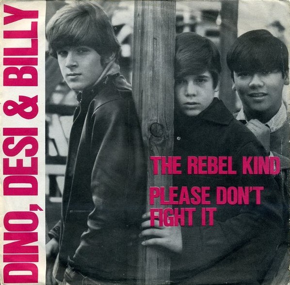The Rebel Kind / Please Don't Fight It by Dino, Desi and Billy (Single ...