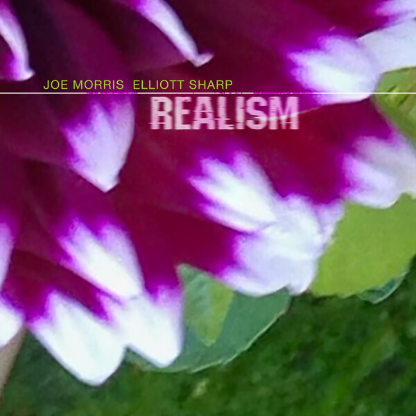Realism by Joe Morris & Elliott Sharp (Album): Reviews, Ratings ...