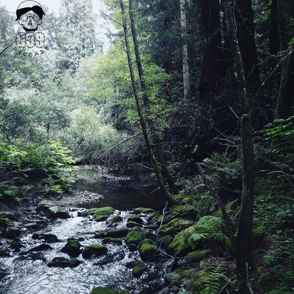 Who is Mike Jones? by Ramirez (Single, West Coast Hip Hop): Reviews ...