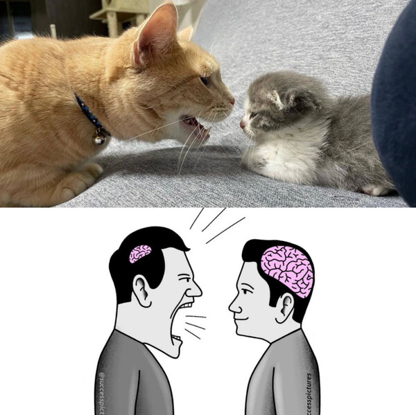 listening list - Rate Your Music