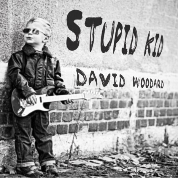 Stupid Kid by David Woodard (Album, Jangle Pop): Reviews, Ratings ...