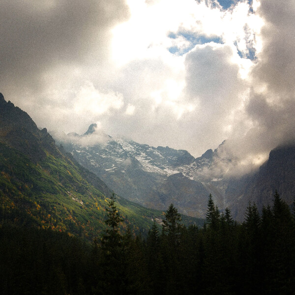 Bruno Janiszewski Albums: songs, discography, biography, and listening ...