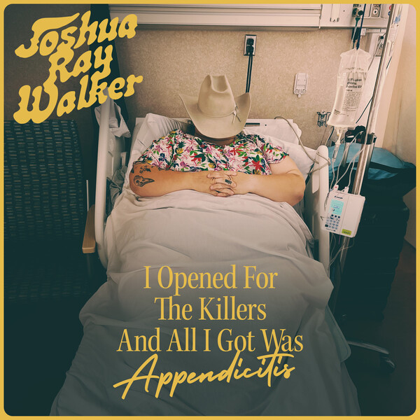 I Opened for the Killers and All I Got Was Appendicitis by Joshua Ray ...