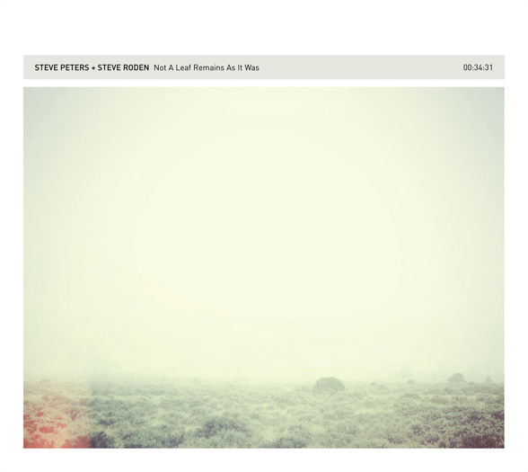Not a Leaf Remains as It Was by Steve Peters + Steve Roden (Album ...